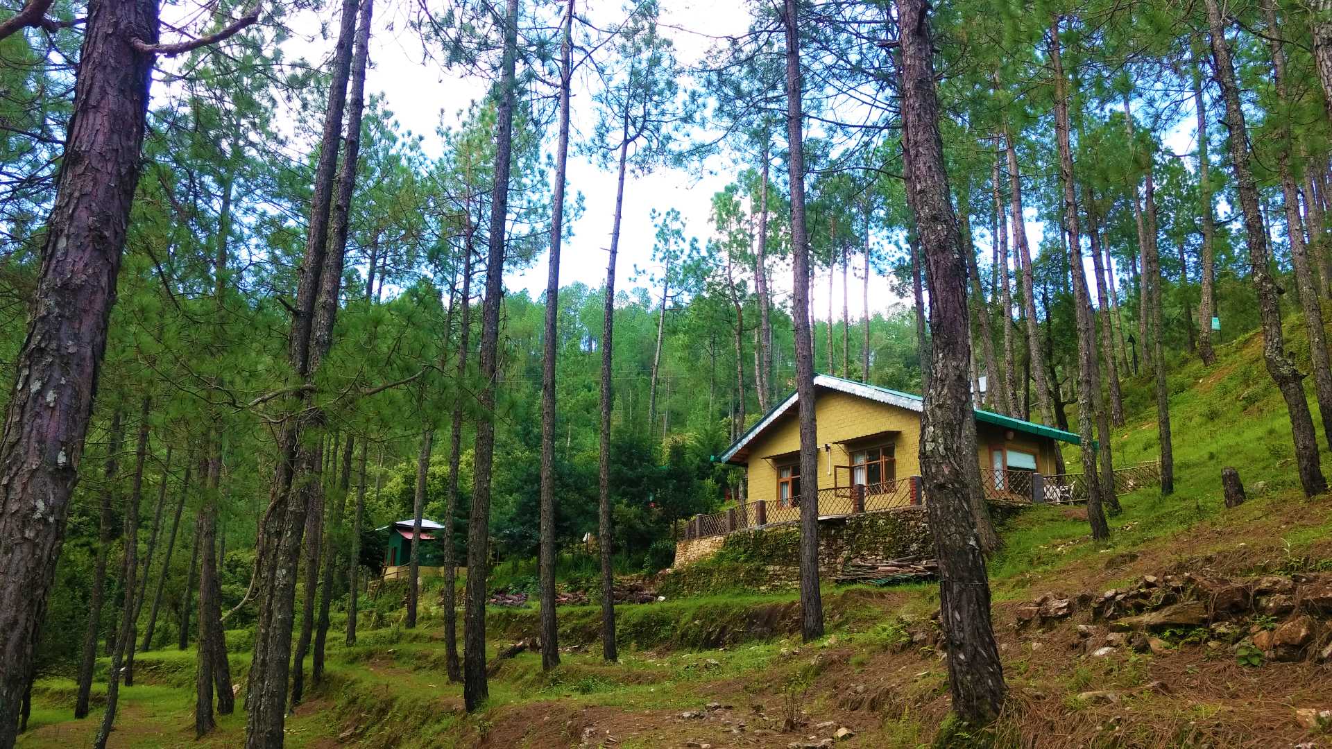 About Us - Chestnut Grove Himalayan Lodge